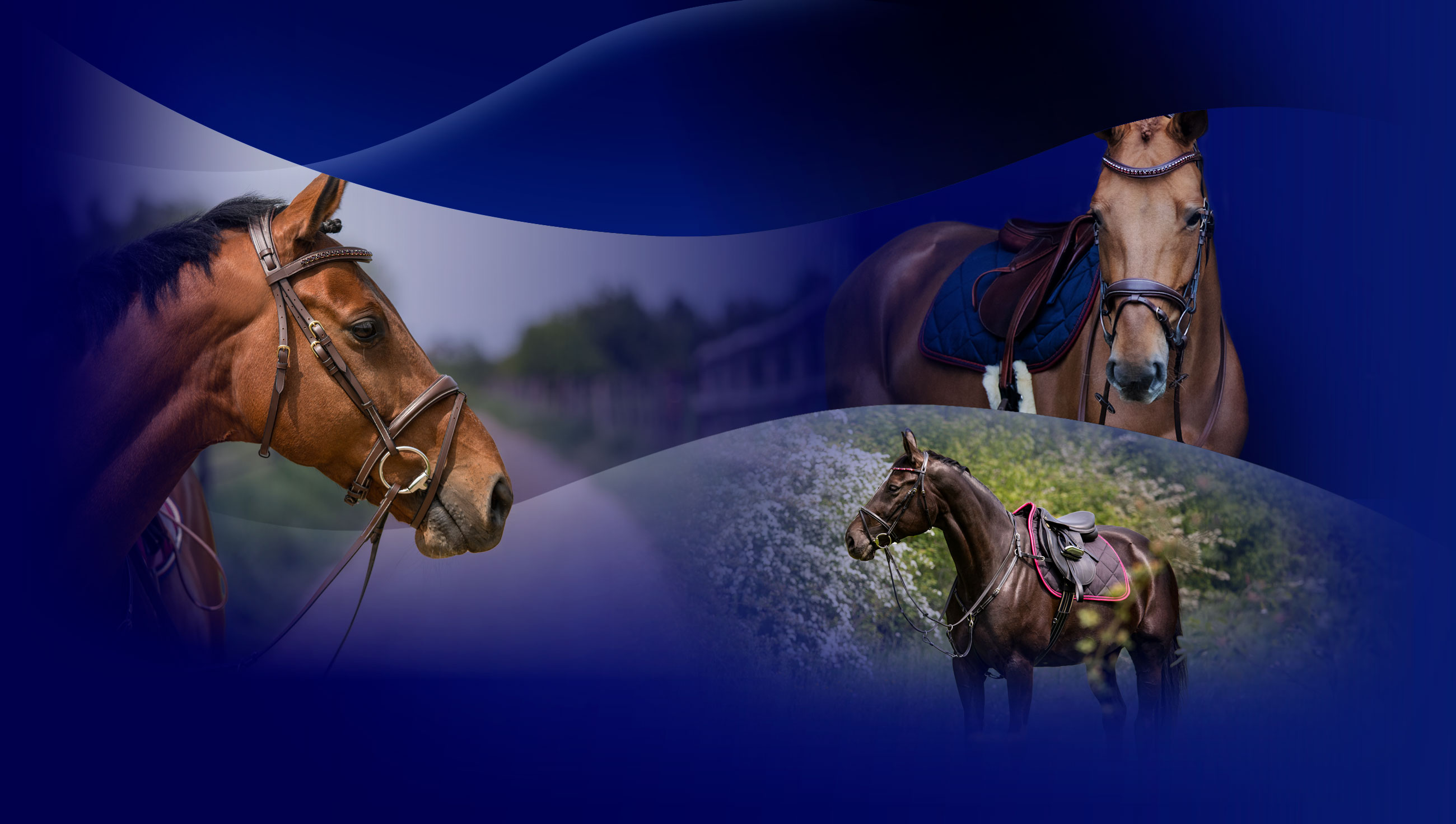 HFI Master Collection :: Home